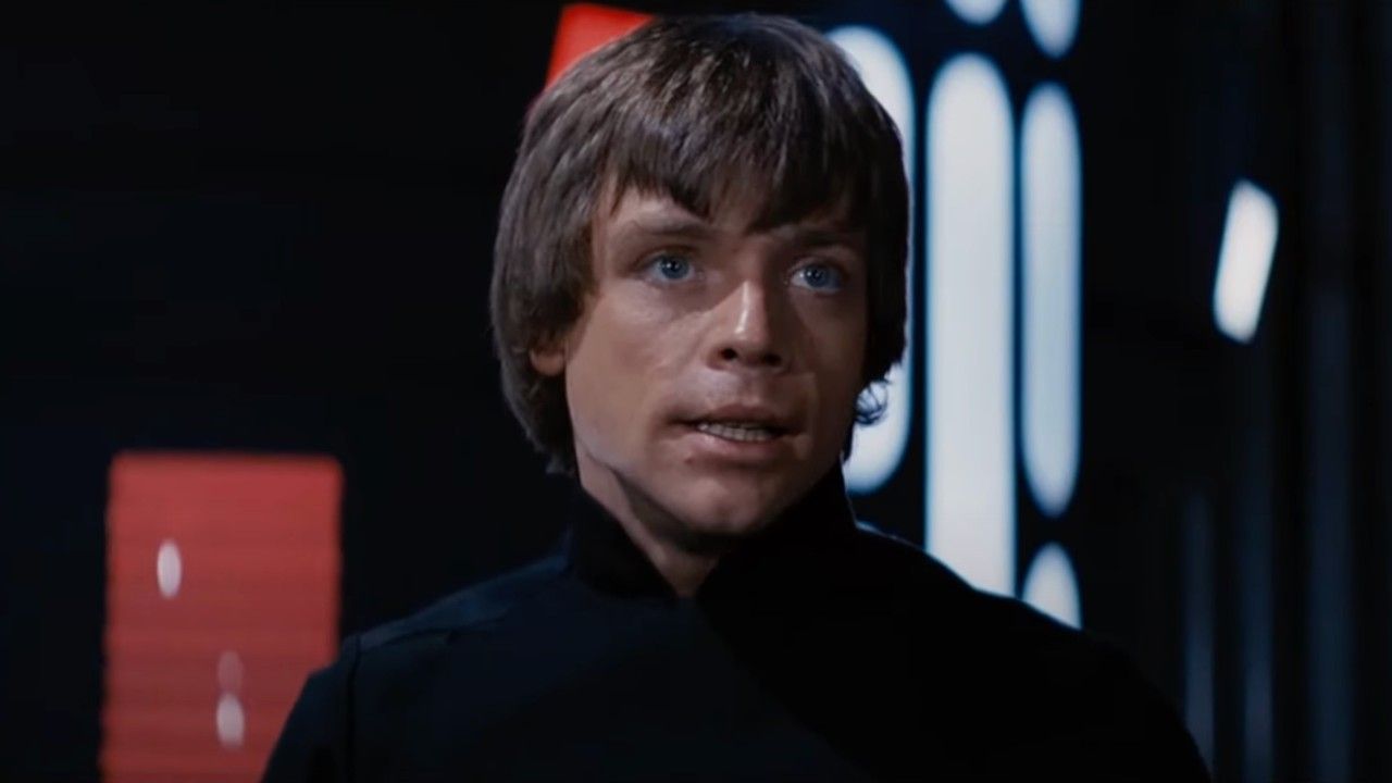 I Wasn't Sure How Many People Would Show Up For Luke Skywalker's Debut ...