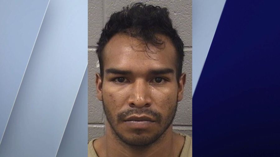 Cook County Sheriff’s Office searching for man who removed electronic ...