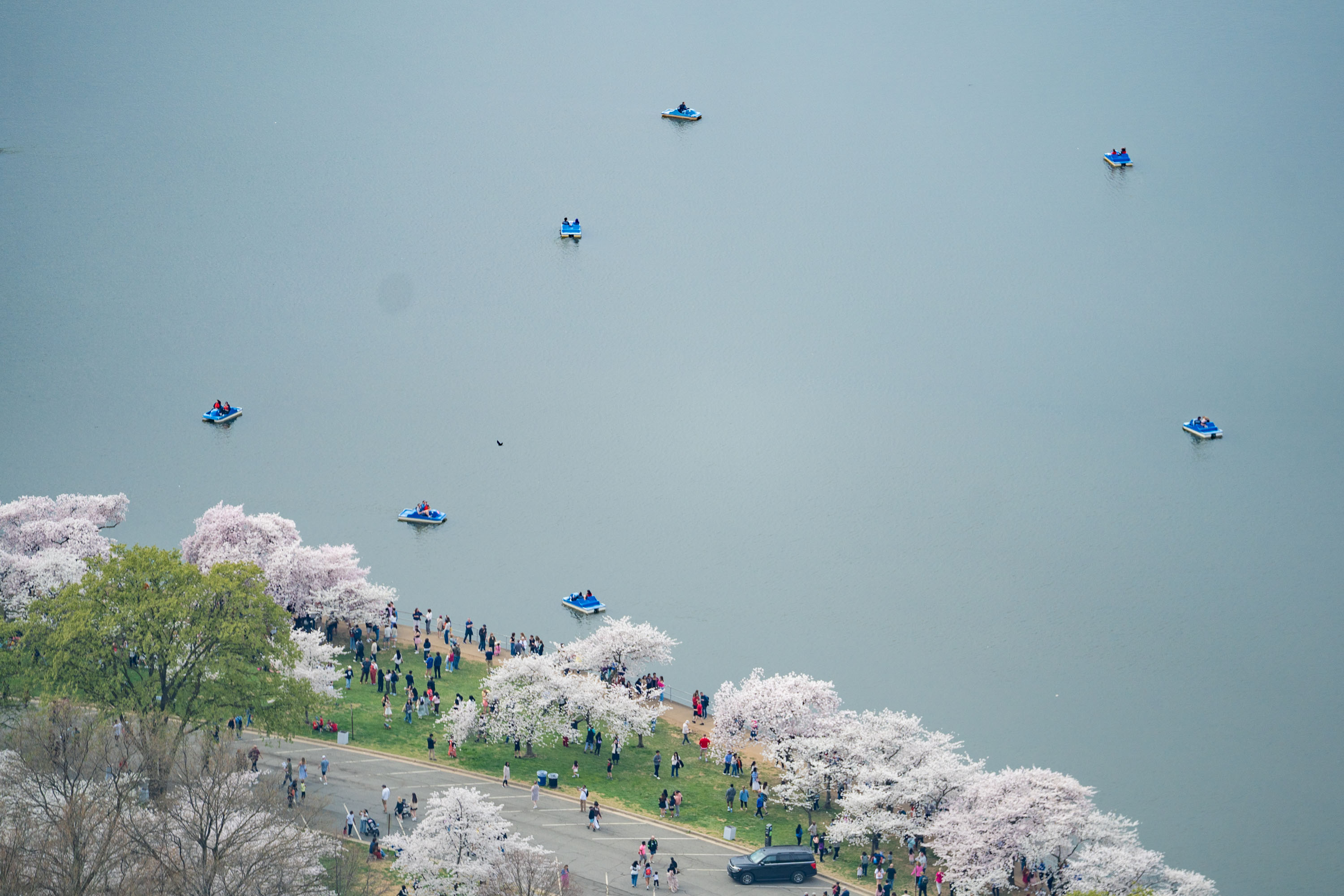 CWG Live updates: Staying warm with late-day storms likely tomorrow ...