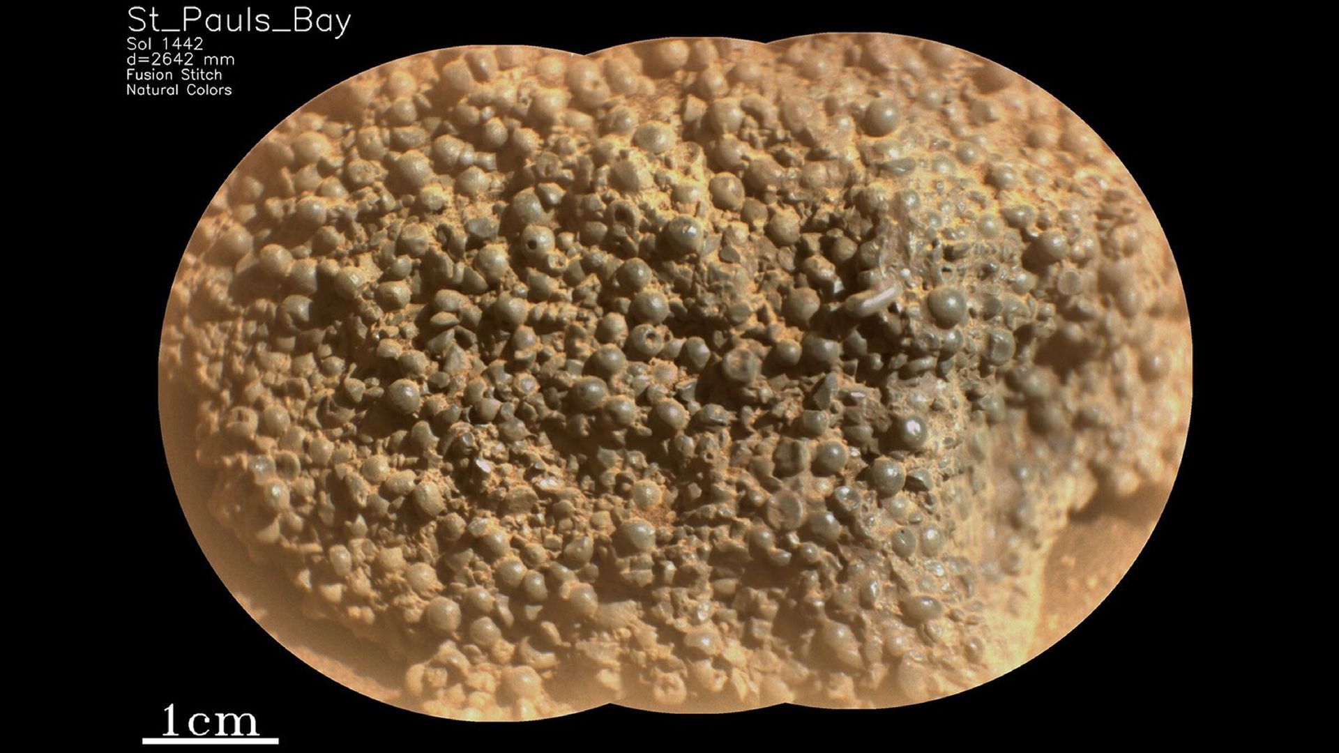 NASA rover spots hundreds of 'spider eggs' on Mars — and scientists ...