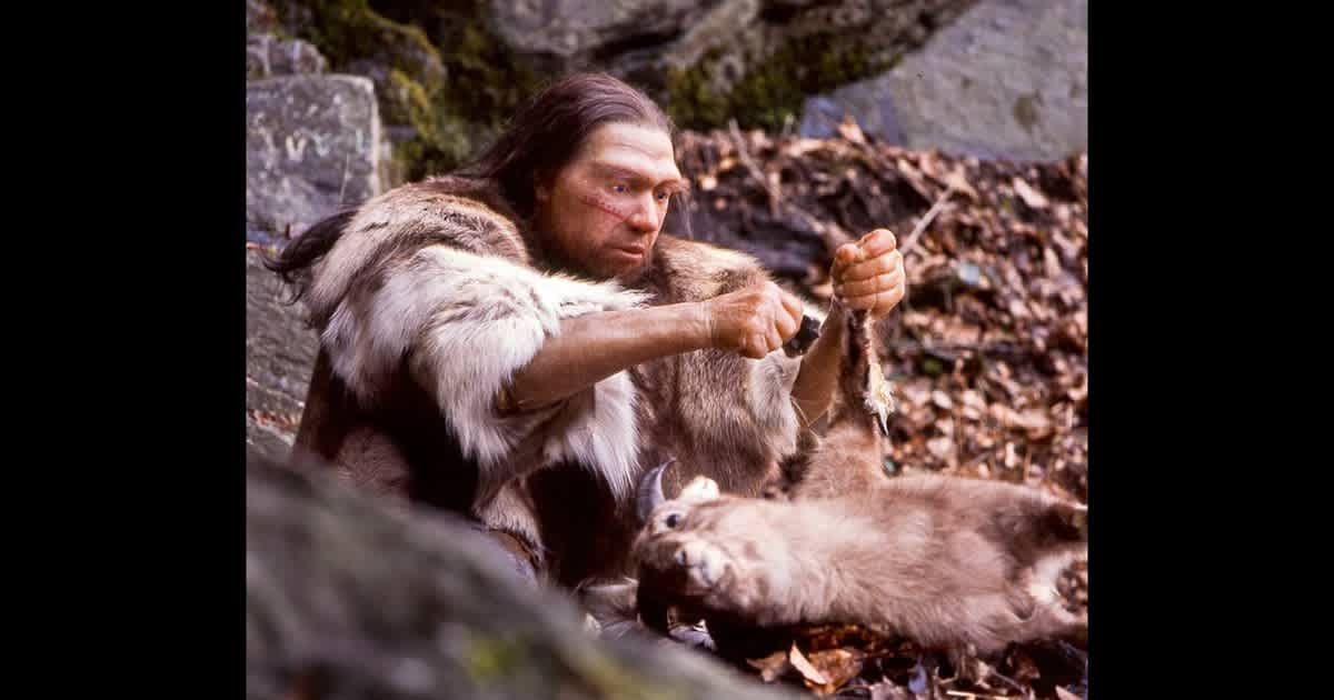 New Teeth Analysis Reveals Humans and Neanderthals Split 800,000 Years ...