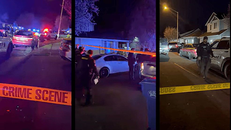 17-year-old arrested after mass shooting at Pierce County house party ...