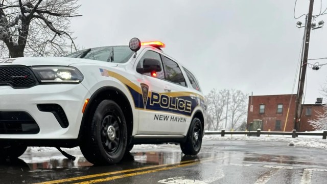 Officers respond to unusual 911 call after unexpected creature is found ...