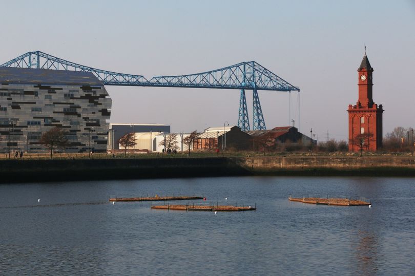 Three floating islands installed in River Tees Estuary, here's what ...