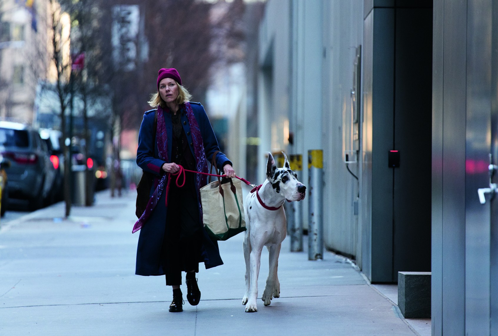 "The Friend" gives a voice to those of us hounded by self-obsessed dog ...