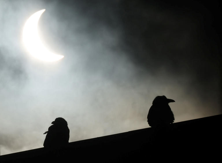 Visuals: Moon blocks sun as 2025 sees its first partial solar eclipse