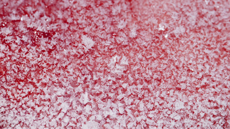 What You Should Know About Freezer Burn And How To Prevent It