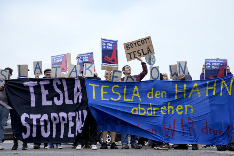 Protesters rebelling against Elon Musk's purge of US government swarm ...