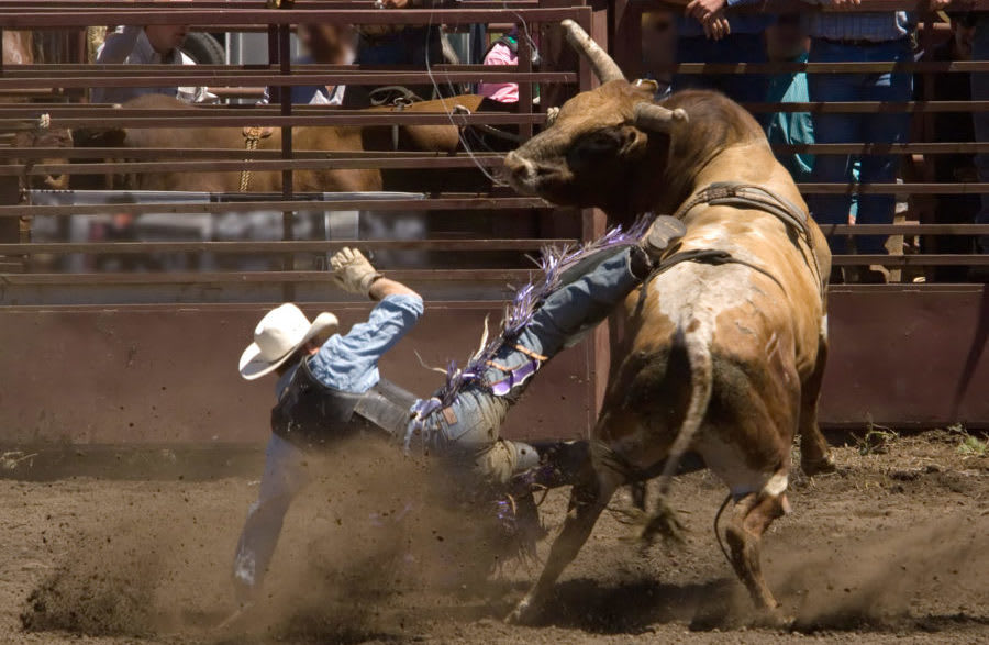 Montana has an official state sport — rodeo