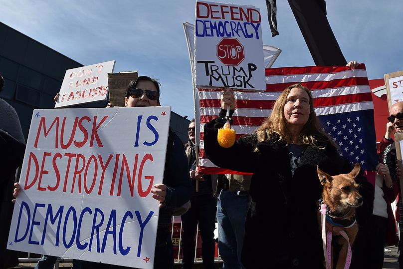 Protesters rebel against Elon Musk's US government purge during Tesla ...