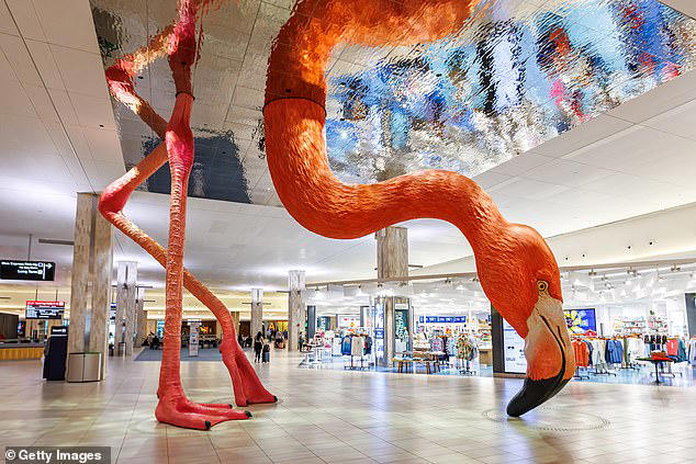 Social media post sparks concern a major US city's airport is closing