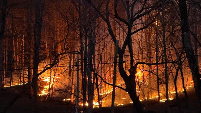 State of emergency persists as wildfires in Transylvania County ...