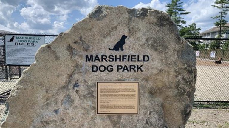 Local Dog Park Seeks Witnesses In 3 Reported Violent Incidents