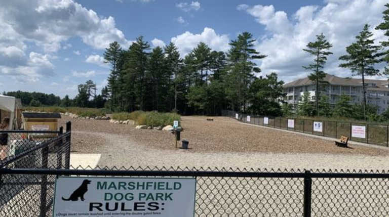 Local Dog Park Seeks Witnesses In 3 Reported Violent Incidents