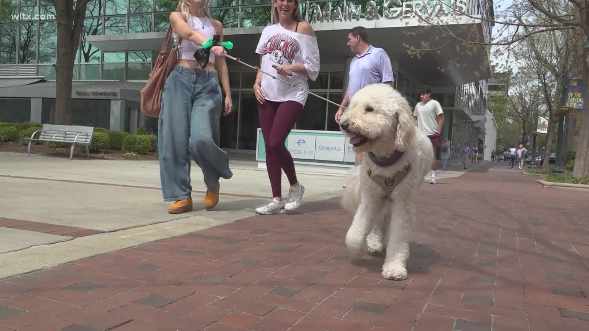 SCDOT's Gervais Street project sparks mixed reactions from locals