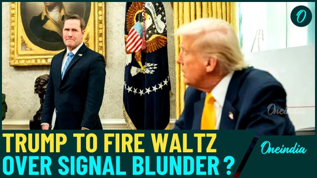 Vance Urged Trump to Fire Waltz Over Signal Blunder; White House ...