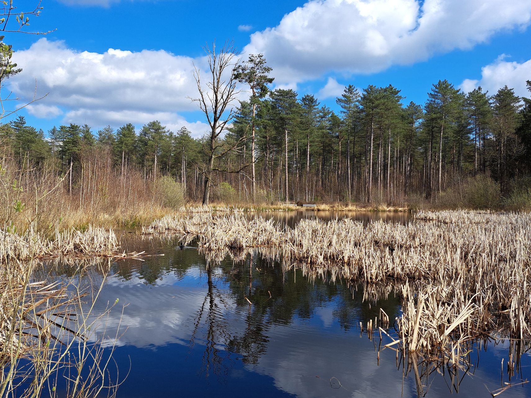 Weerman Samuel: "Tot 20°C volgende week"