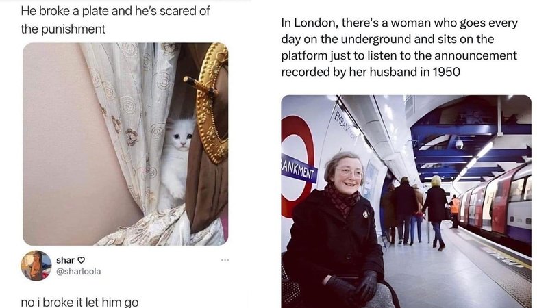 25 Wholesome Memes With Positive Humor