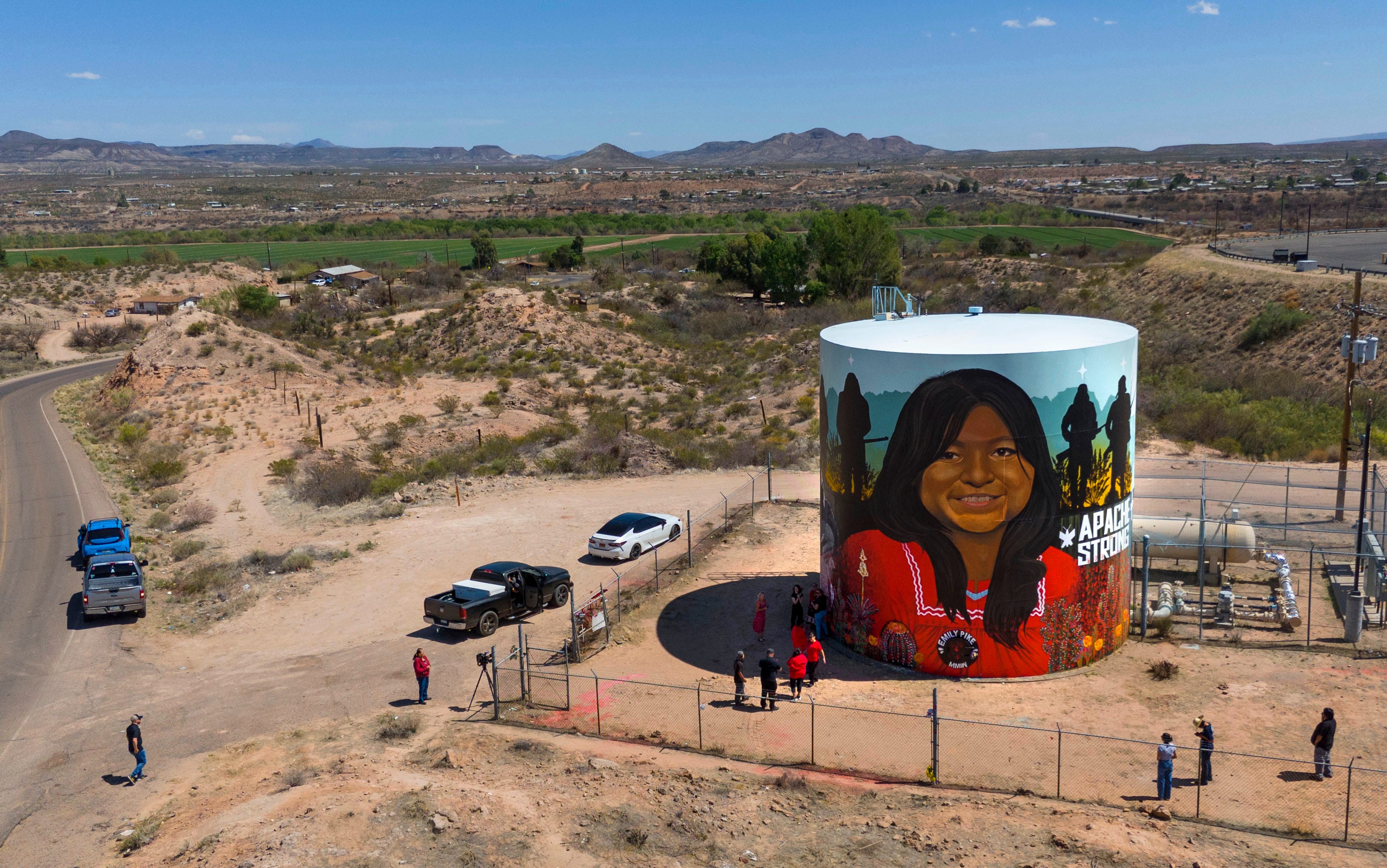 'Homicidal violence' caused Emily Pike's death, medical examiner says