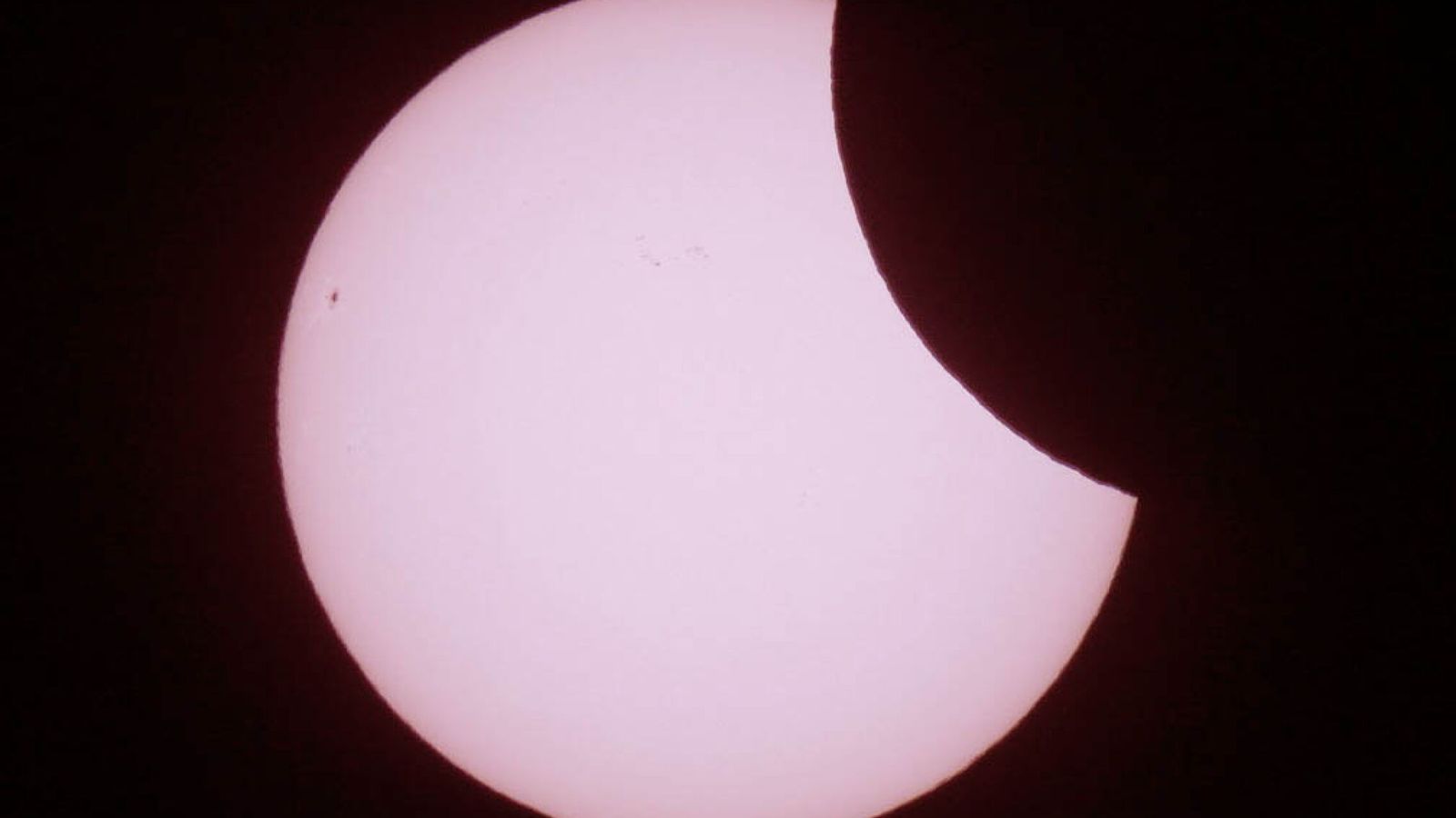 10 easy tricks to identify birds near you