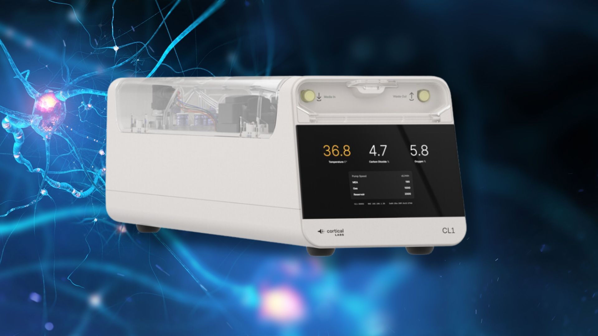 Wetware Is Here: Running Software on Squishy Brains