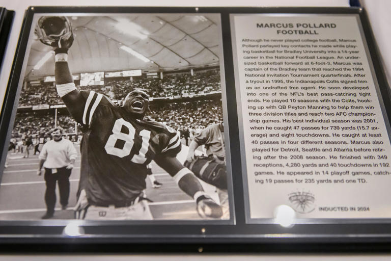 Former NFL coach, NFL player lead the Peoria sports hall of fame's ...