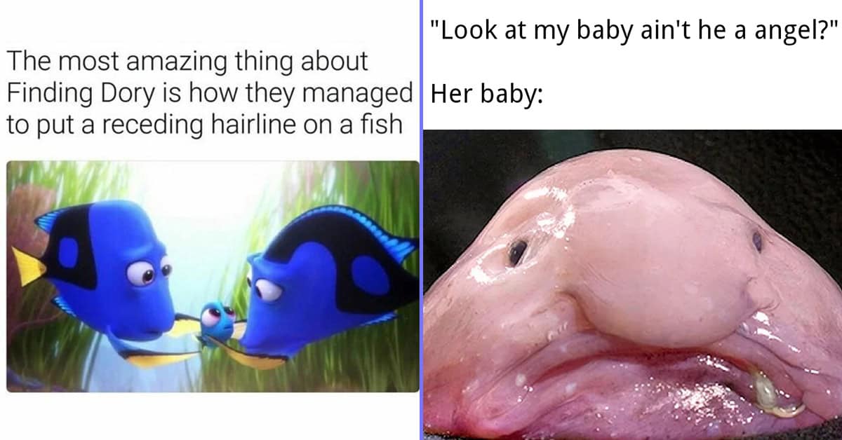 30 Funny Fish Memes That'll Have You Flopping On The Deck With Laughter