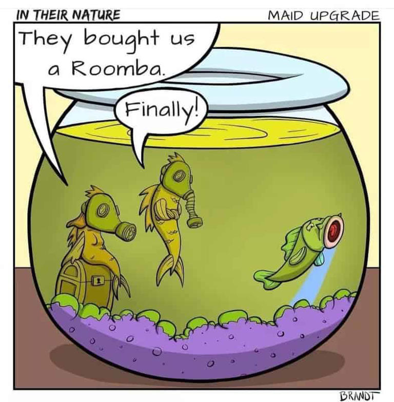 30 Funny Fish Memes That'll Have You Flopping On The Deck With Laughter