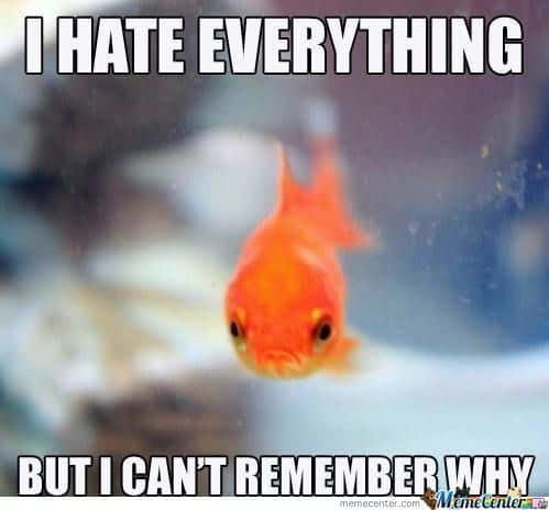 30 Funny Fish Memes That'll Have You Flopping On The Deck With Laughter