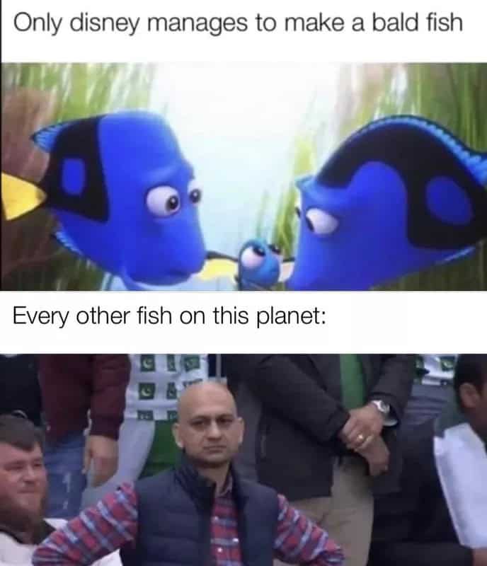 30 Funny Fish Memes That'll Have You Flopping On The Deck With Laughter