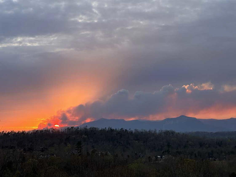 Statewide ban lifted in 41 counties in South Carolina