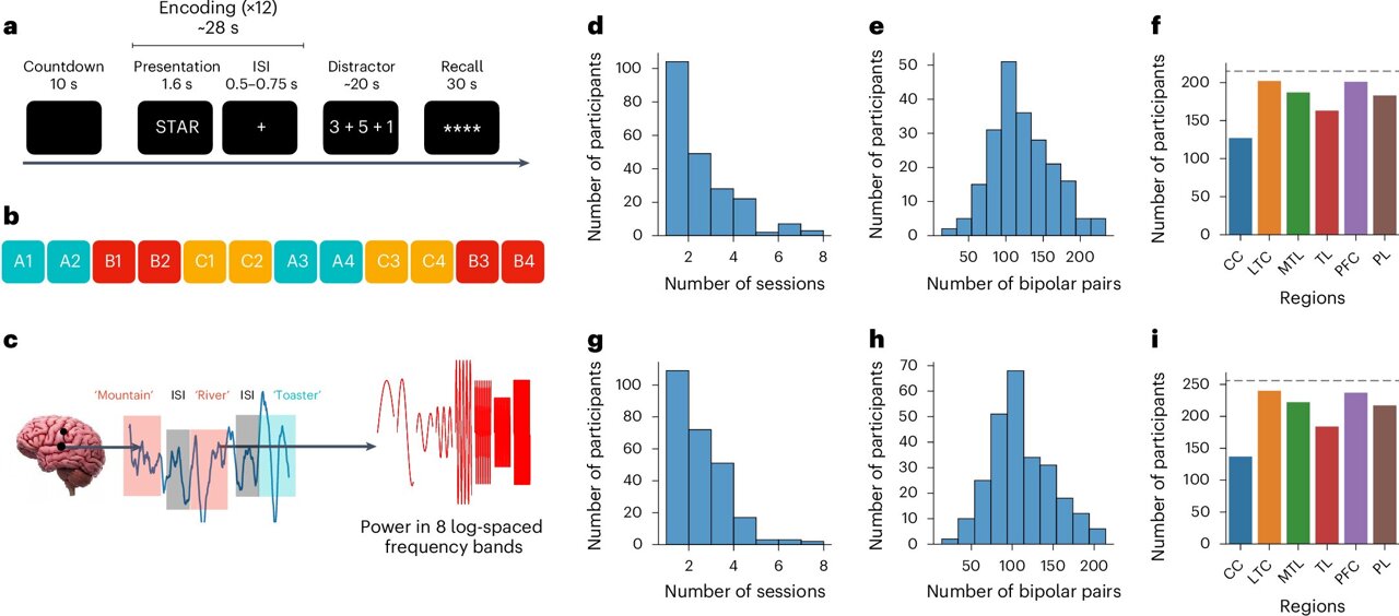 Short-term reactivation of brain between encoding of memories enhances ...