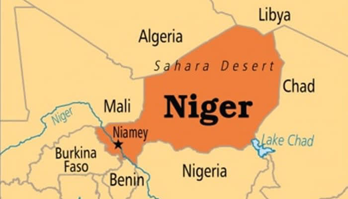 Niger Republic quits Lake Chad military force