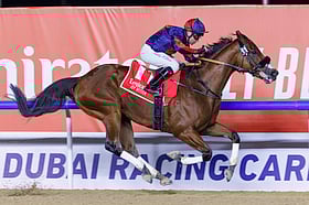 Seemar gears up for Dubai World Cup with seven powerhouse contenders