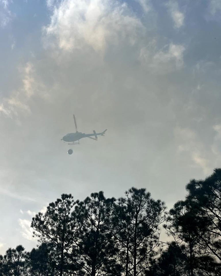 Fire rescue works overnight to contain 40-acre wildfire in Flagler Estates