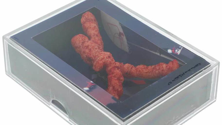 Air Jordan Jumpman Cheeto Sells at Auction