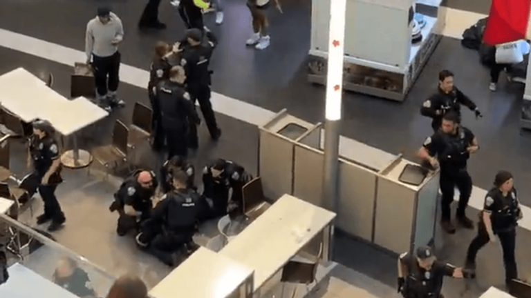 3 juveniles face charges after Pentagon City mall fights, Arlington police increase patrol