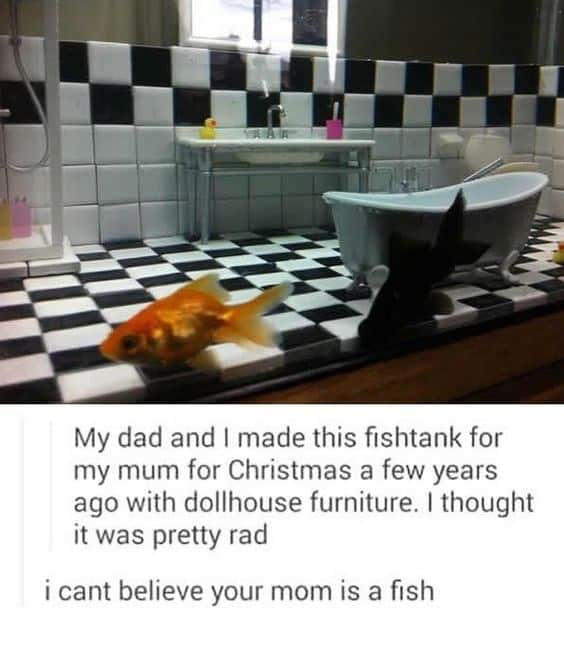 30 Funny Fish Memes That'll Have You Flopping On The Deck With Laughter