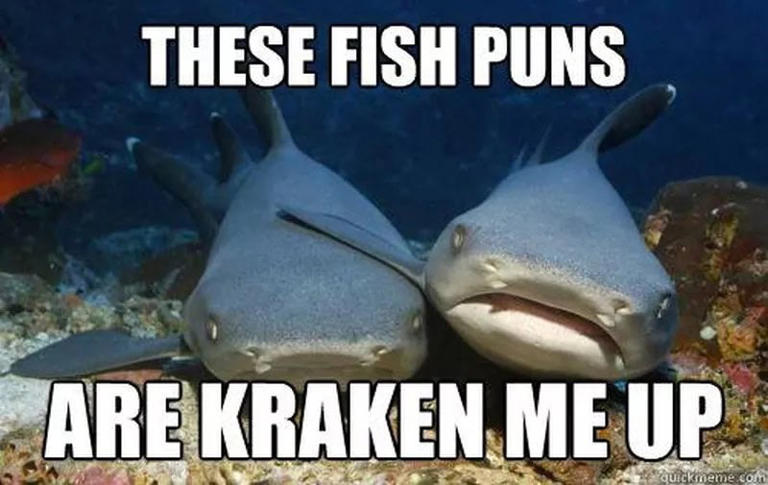 30 Funny Fish Memes That'll Have You Flopping On The Deck With Laughter