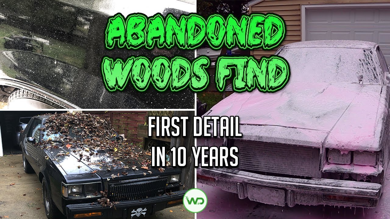 Grand National abandoned in woods receives first detail in 10 years
