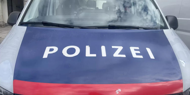 Alkolenker (24) ohne Führerschein verursachte Unfall