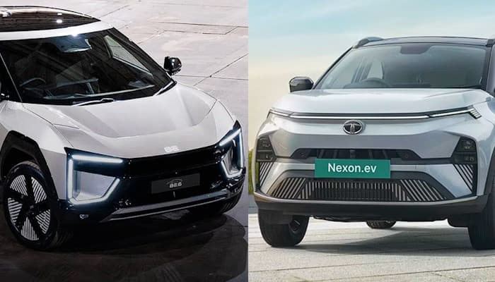 Tata Motors to Mahindra: A look at Tesla's top contenders in India