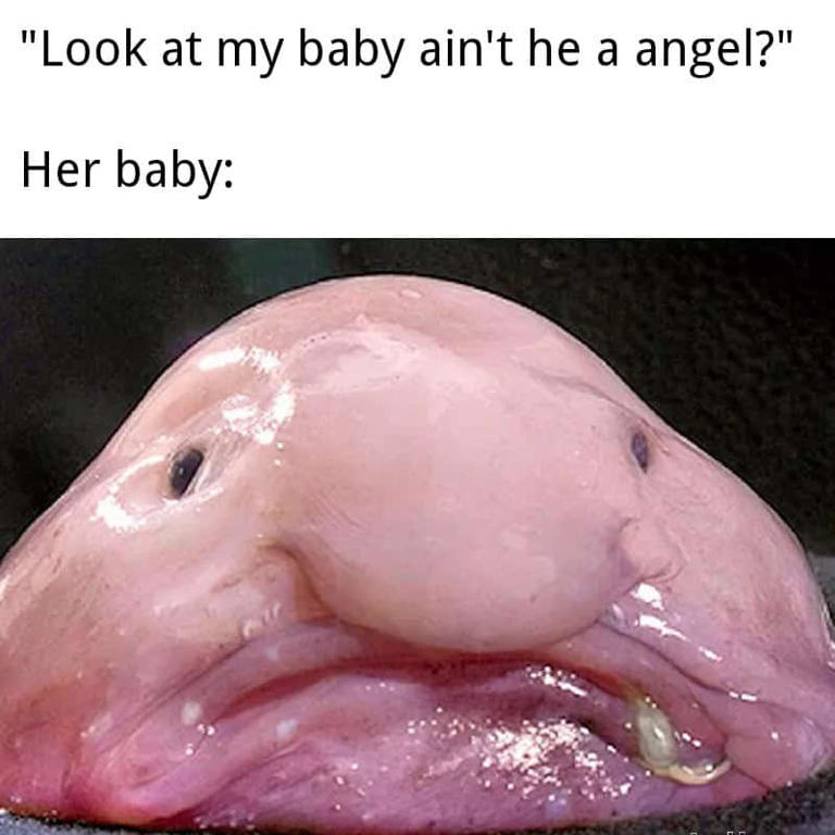 30 Funny Fish Memes That'll Have You Flopping On The Deck With Laughter