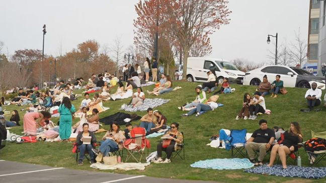 Sakura Sunday, Water Lantern Festival brings cherry blossom magic to ...