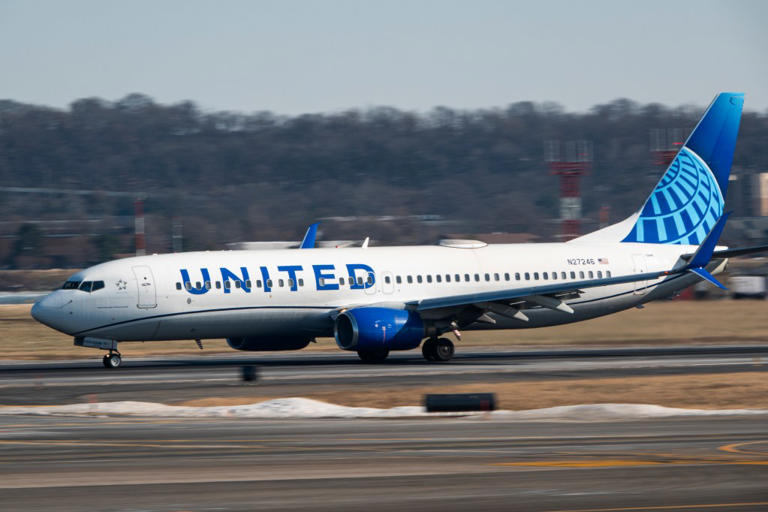 United Airlines plane strikes kite while landing at Reagan National ...