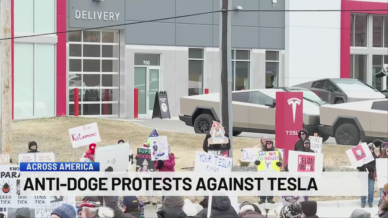 Anti-DOGE protests against Tesla