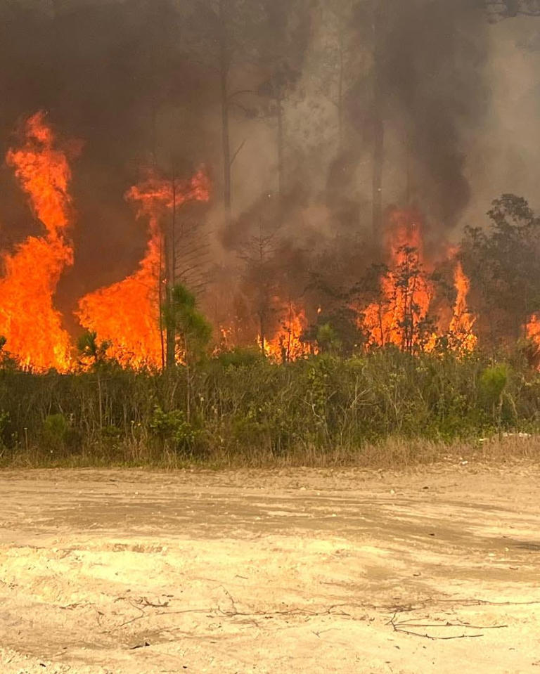 Fire rescue works overnight to contain 40-acre wildfire in Flagler Estates