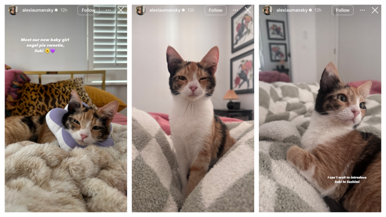 Alexia Umansky and Her Fiancé, Jake Zingerman, Welcome Their "New Baby ...