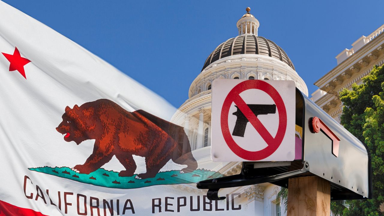 Proposed Law Would Send State-Approved Gun Messaging to Citizens’ Homes