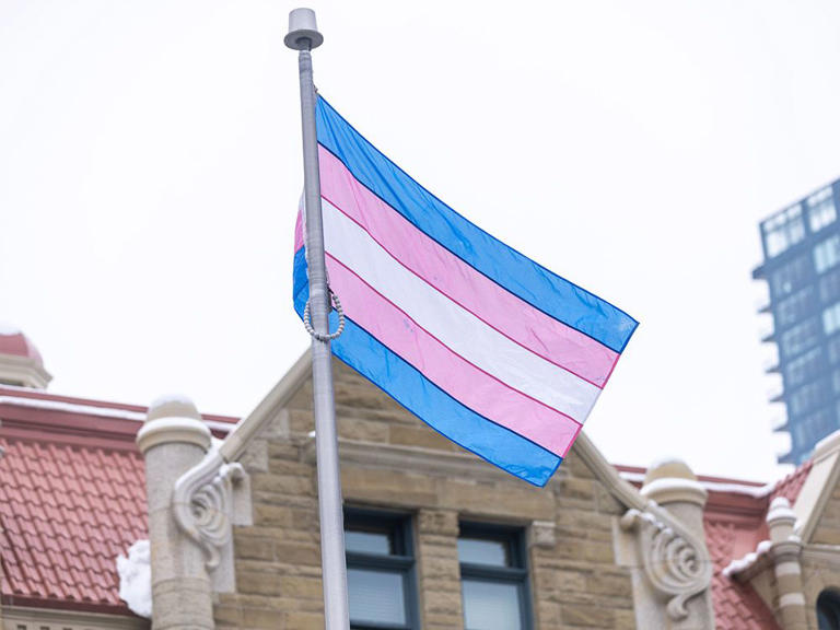 'The system failed us today': Judge lifts injunction on Alberta gender ...